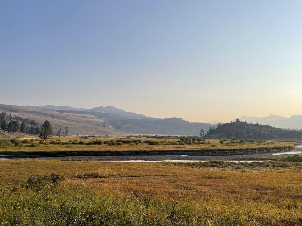 Our Blog – Henry's Fork Anglers