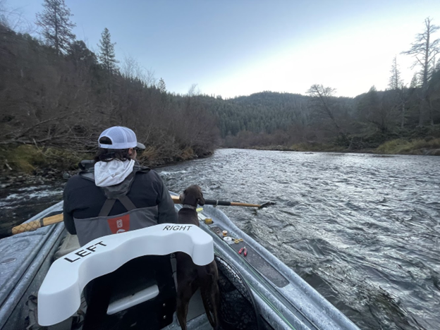 Steelhead Fishing the Winter Solace – Henry's Fork Anglers