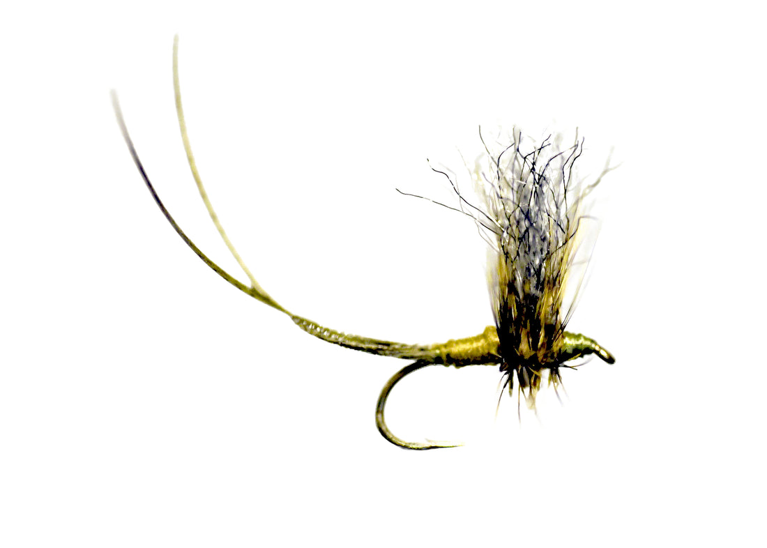 Lawson's Extended Body Drake – Henry's Fork Anglers